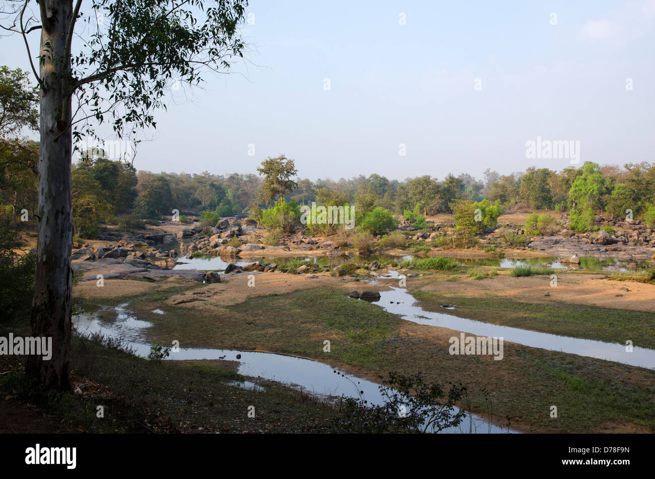 banjar river,mocha,kanha,mocha,madhya pradesh,india Stock Photo - Alamy