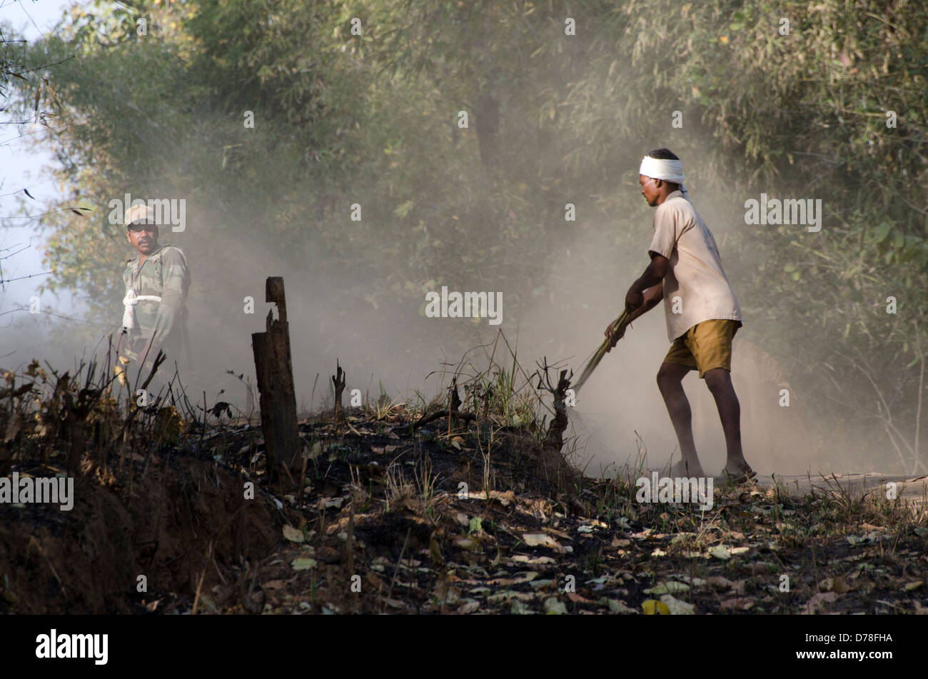 fire break burning,madhya pradesh,india Stock Photo - Alamy