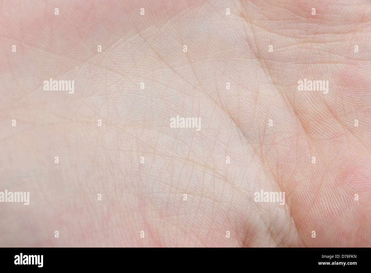close up of human hand Stock Photo - Alamy