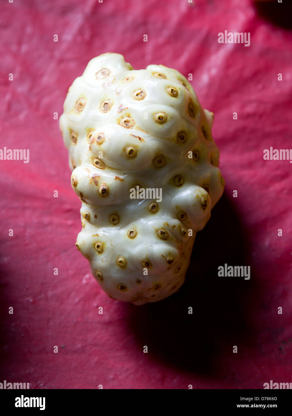 Nooni hi-res stock photography and images - Alamy