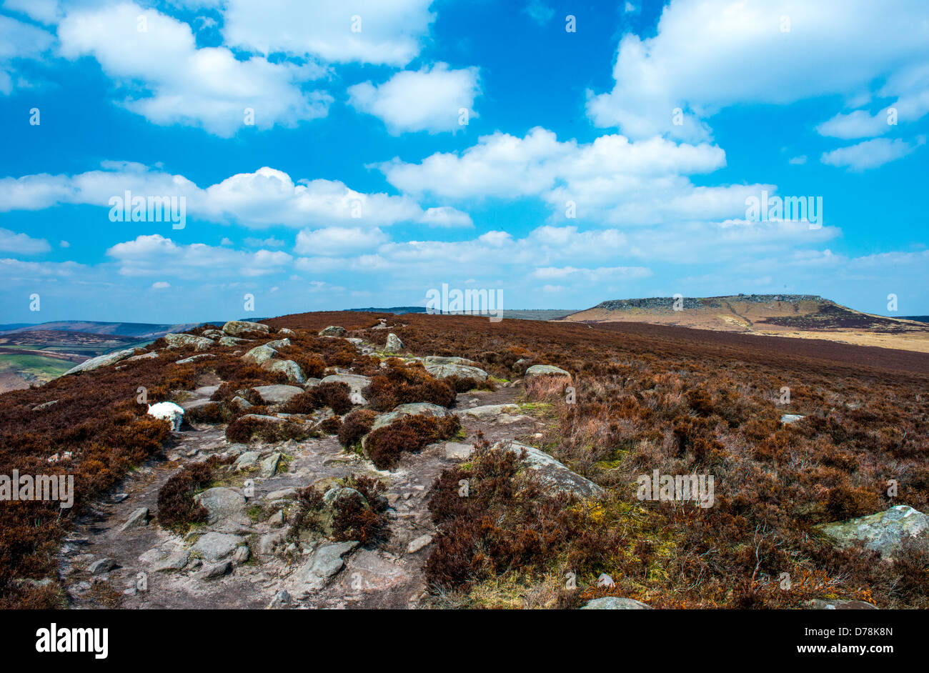 Scattered rocks hi-res stock photography and images - Alamy