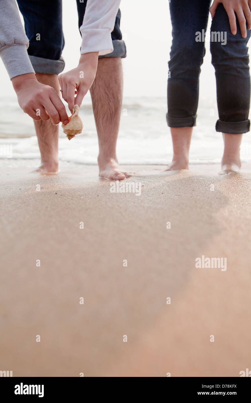 Young couple looking at seashells on the beach, close up on legs and ...