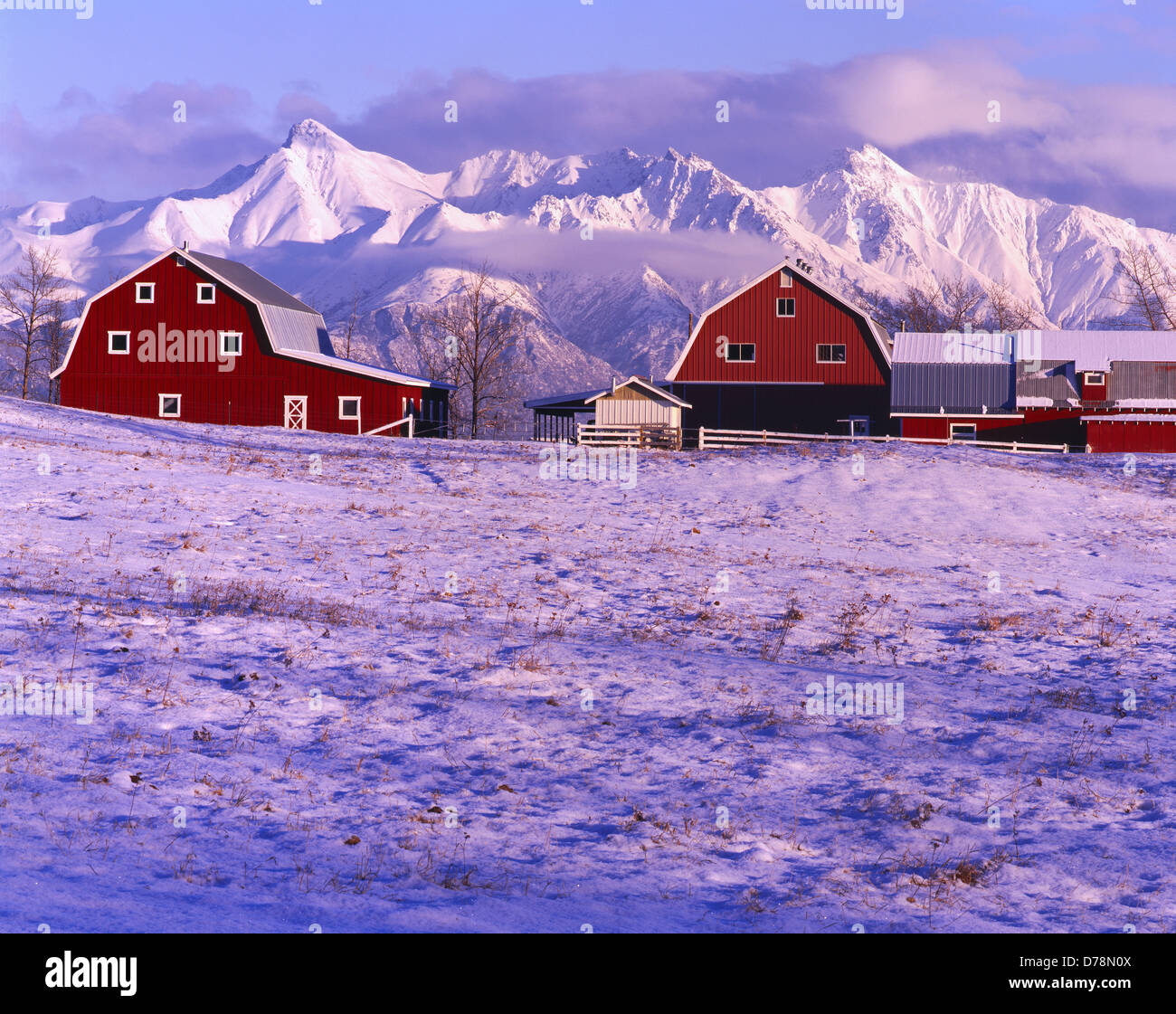 Winter view Gislason Farm Chugach Mountains rising beyond Matanuska ...