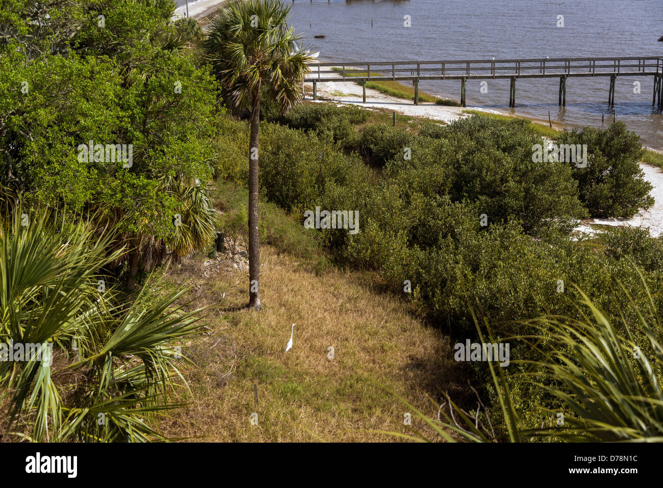 Cedar Key Landscape Stock Photo - Alamy