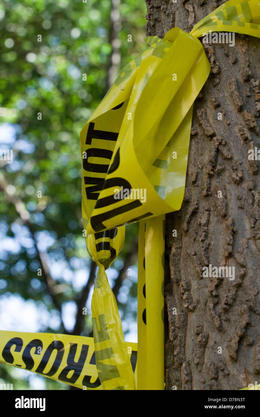 yellow police tape wrapped around and across objects. knotted and ...