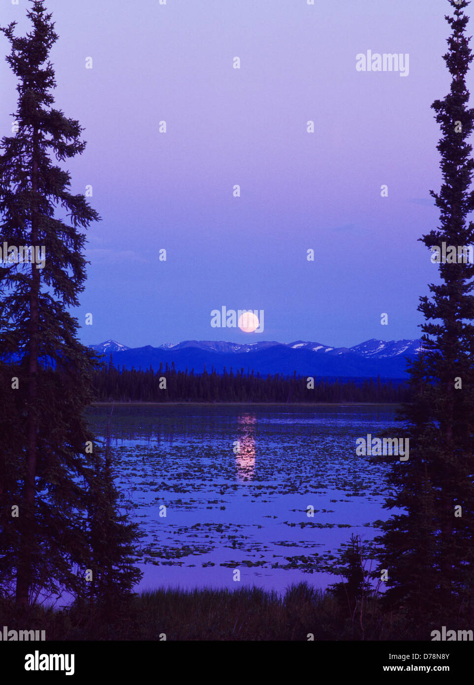 Ak 391a hi-res stock photography and images - Alamy