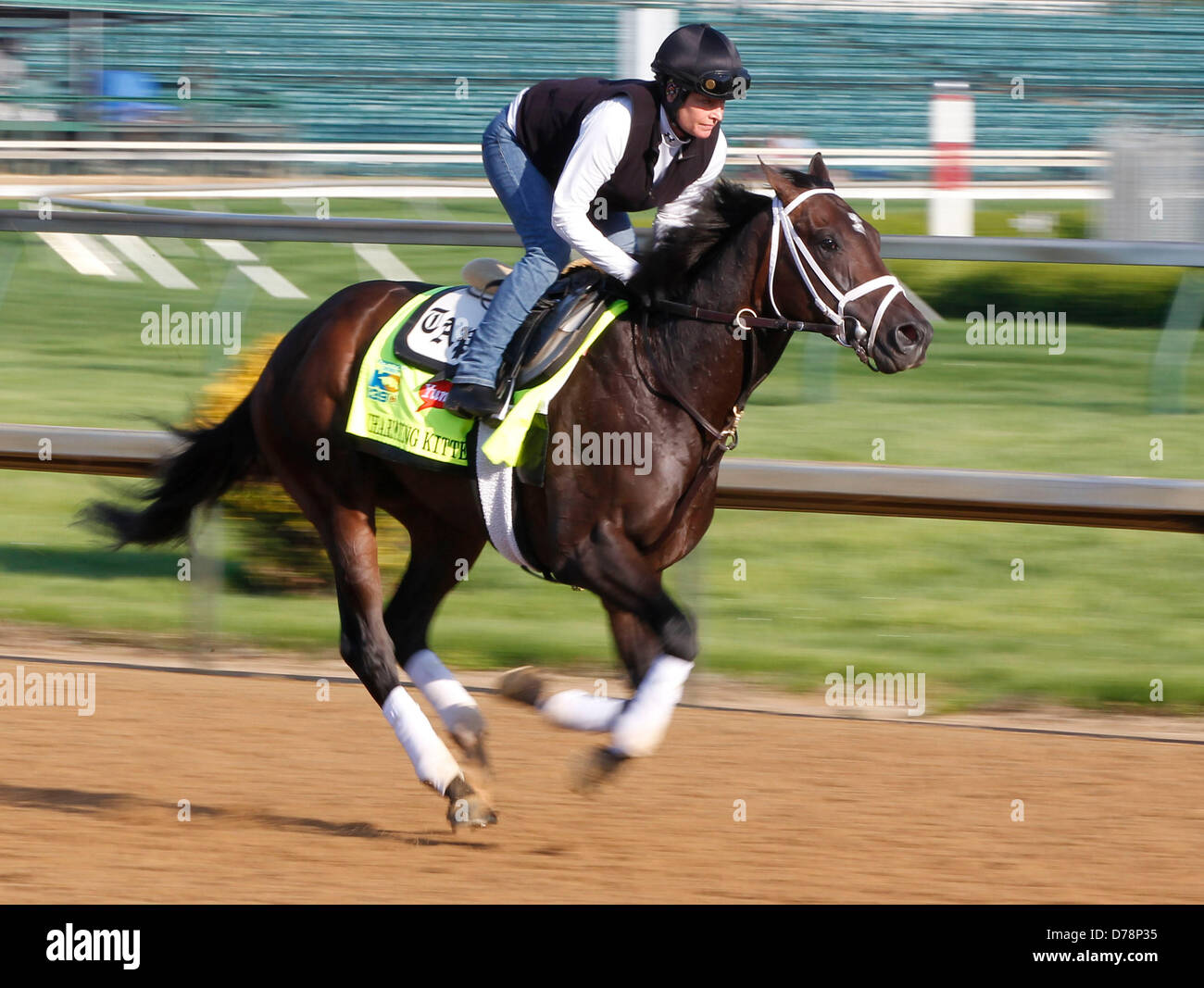 Louisville, Kentucky, USA. 1st May 2013. Charming Kitten with Nick Bush ...