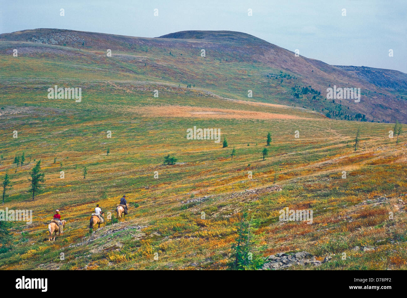 Tuva russia hi-res stock photography and images - Alamy