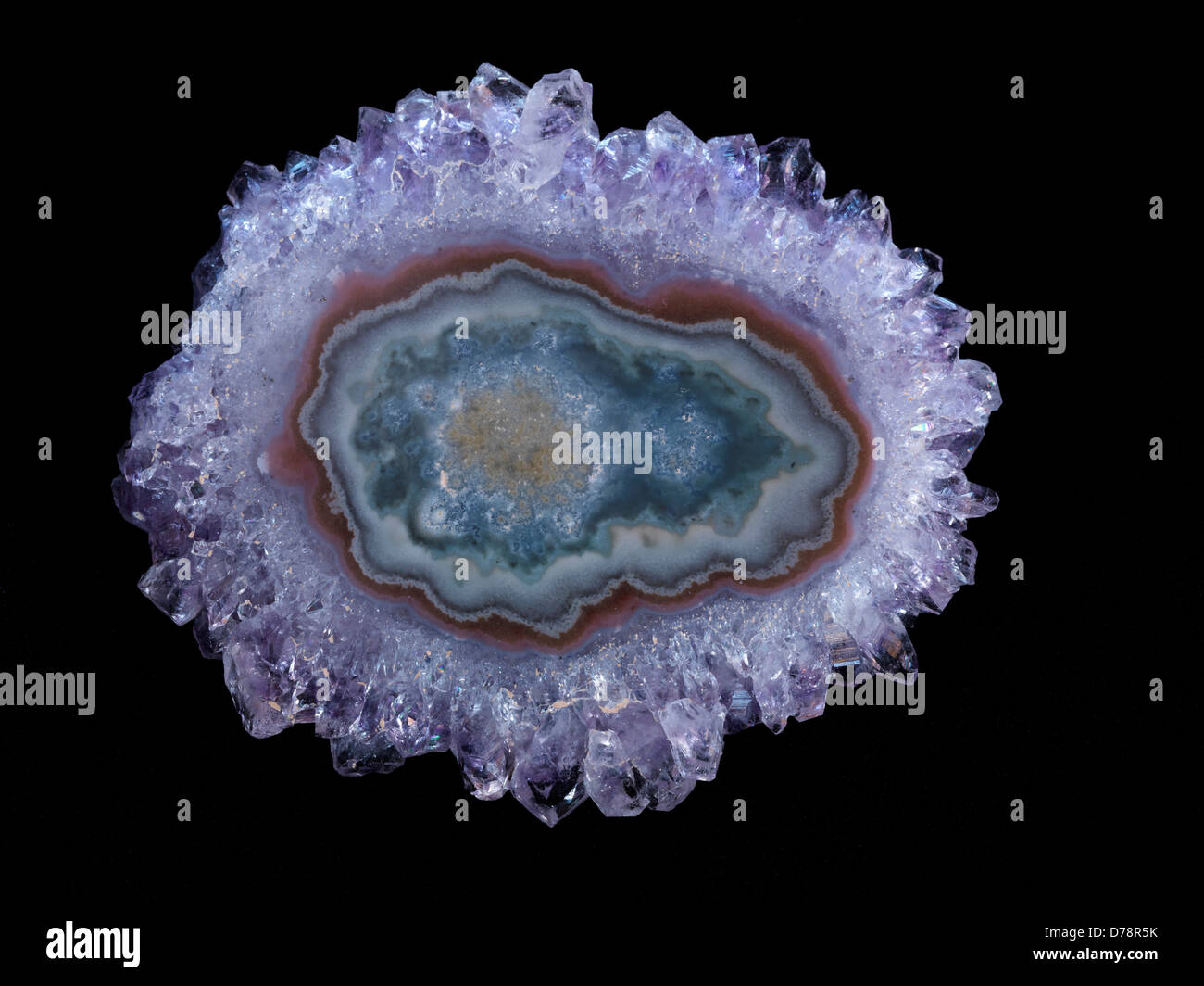 Polished slice amethyst crystals agate cut geode mined in Artigas ...