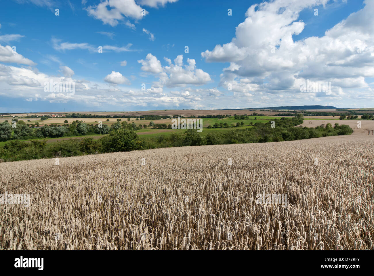 Louny czech hi-res stock photography and images - Alamy