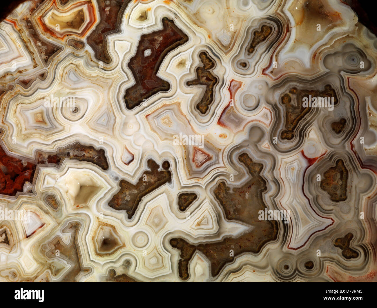 Beautiful fortification pattern in slice Laguna Lace Agate near Ojo ...