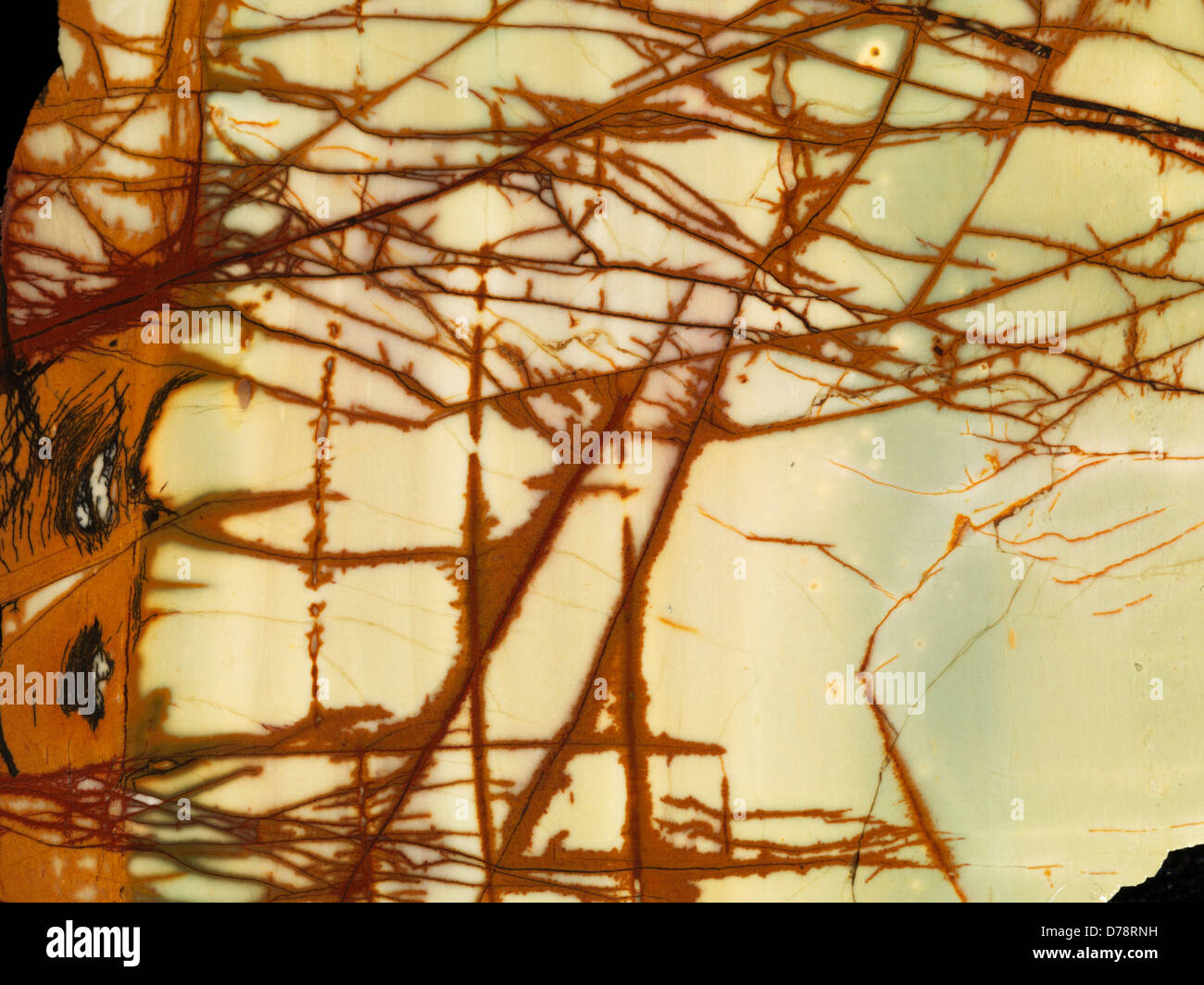 Jasper red hi-res stock photography and images - Alamy
