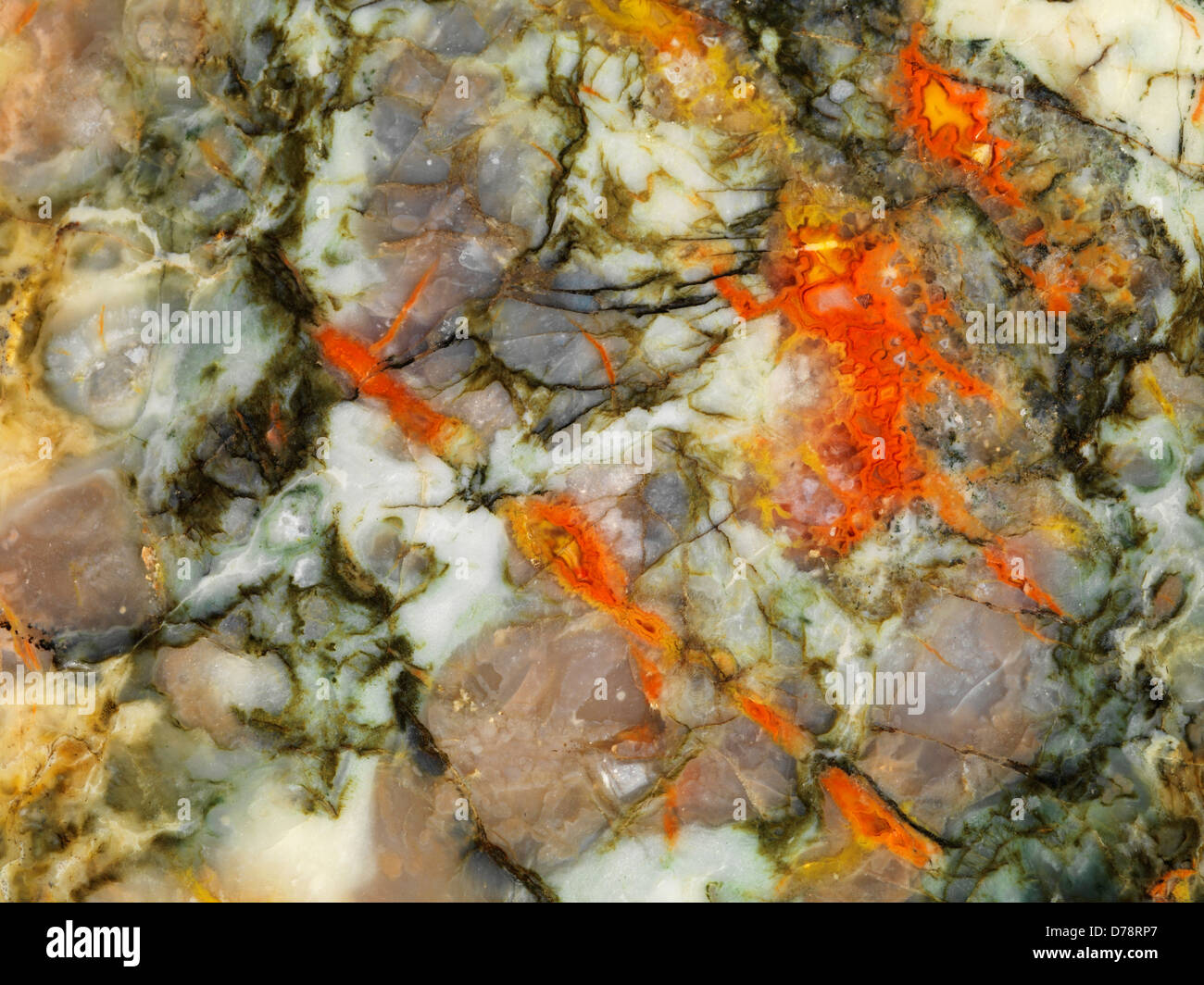 Colorful cross-section dinosaur coprolite petrified dinousaur dung ...