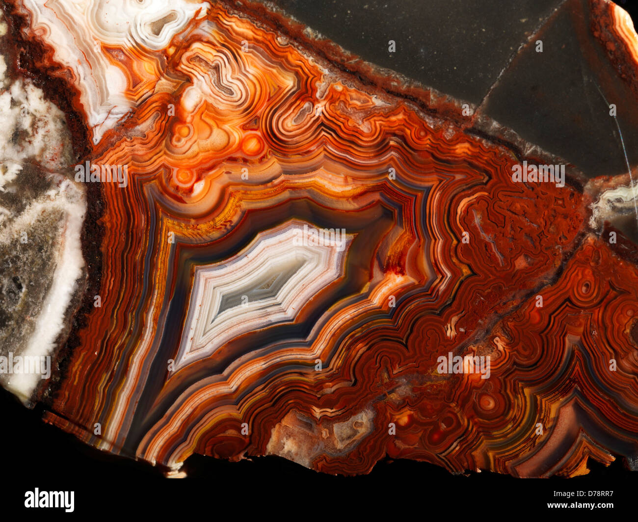 Beautiful fortification pattern in slice Laguna Lace Agate near Ojo ...
