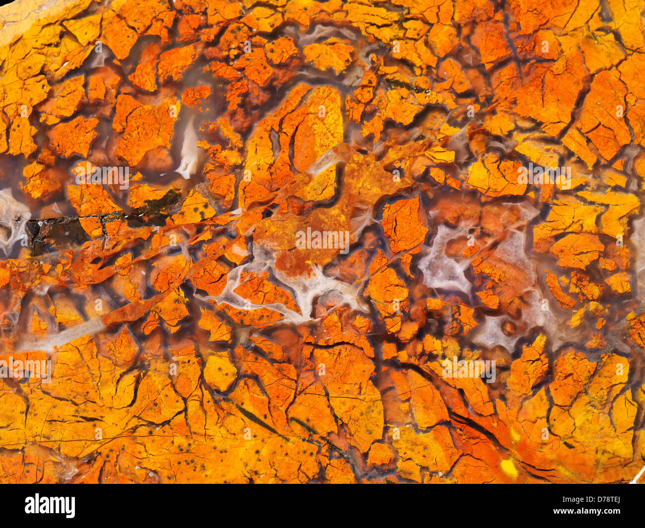 Stone Canyon Jasper combination agate brecciated jasper central coastal ...