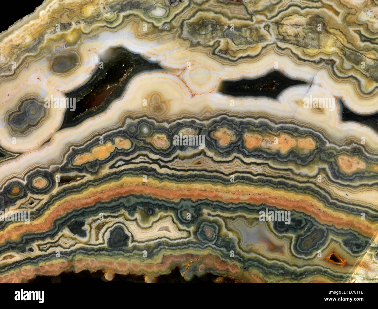 Madagascar orbicular jasper hi-res stock photography and images - Alamy