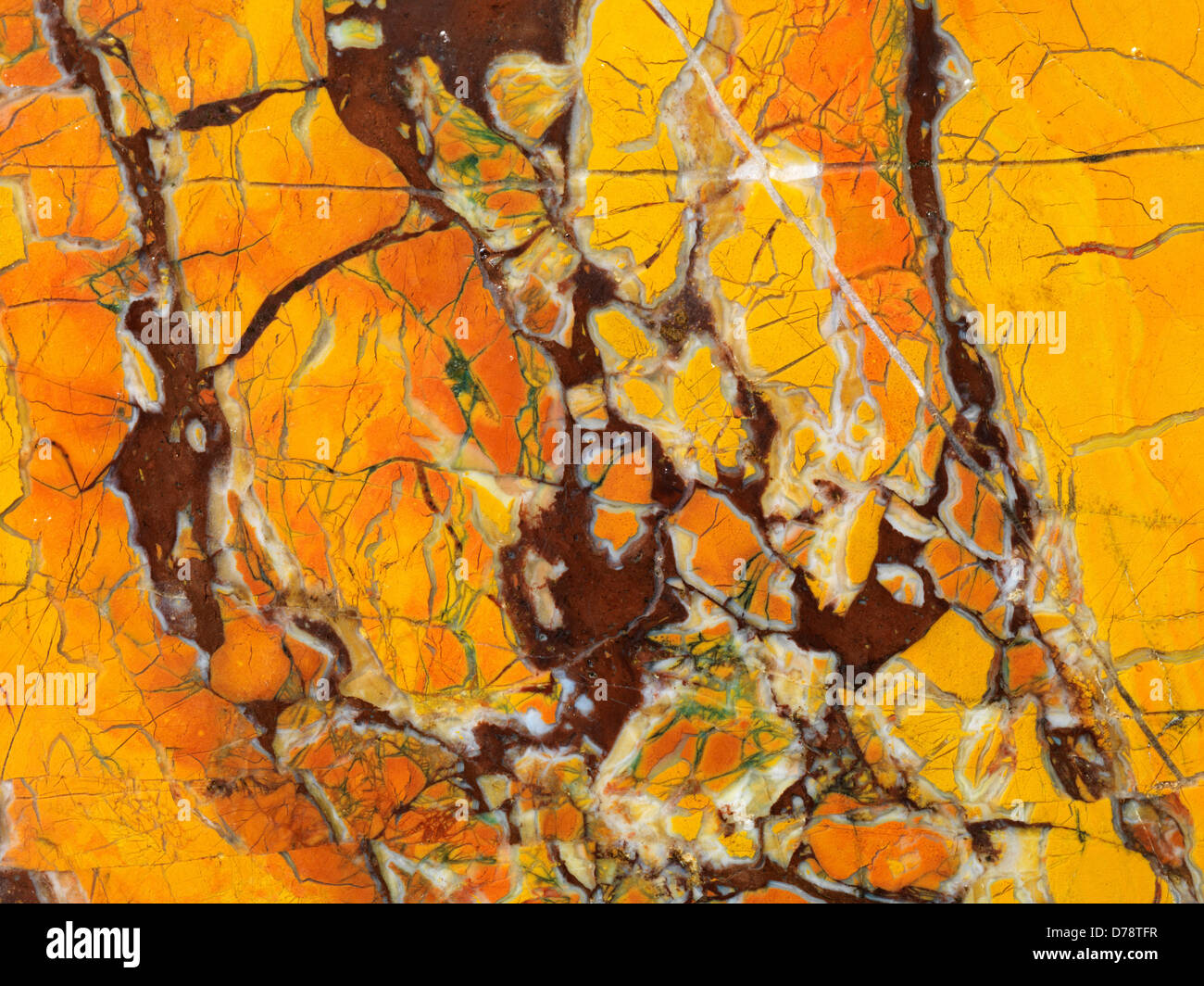 Stone Canyon Jasper combination agate brecciated jasper central coastal ...