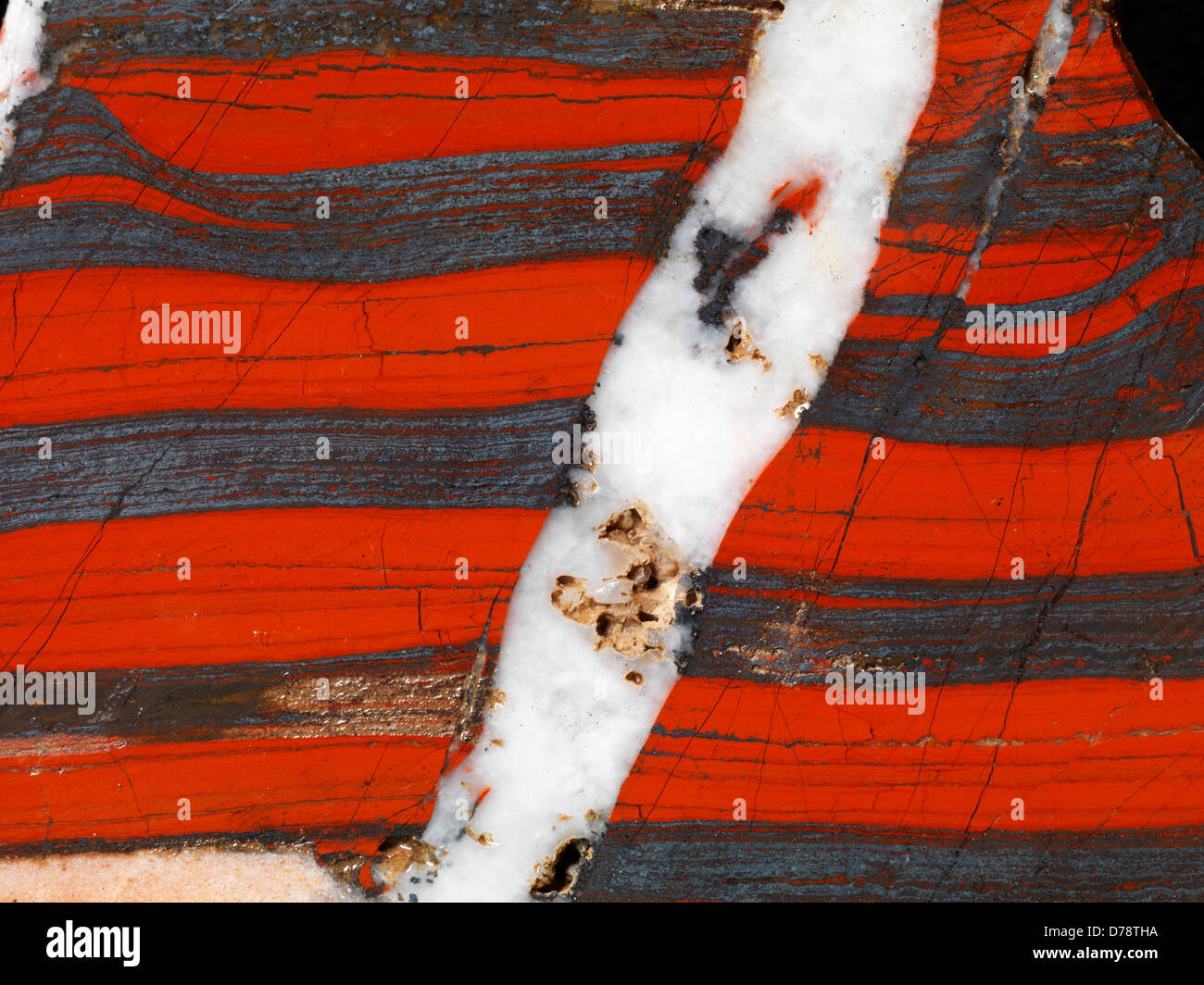 Banded red jasper dark hematite white quartz vein following reverse ...