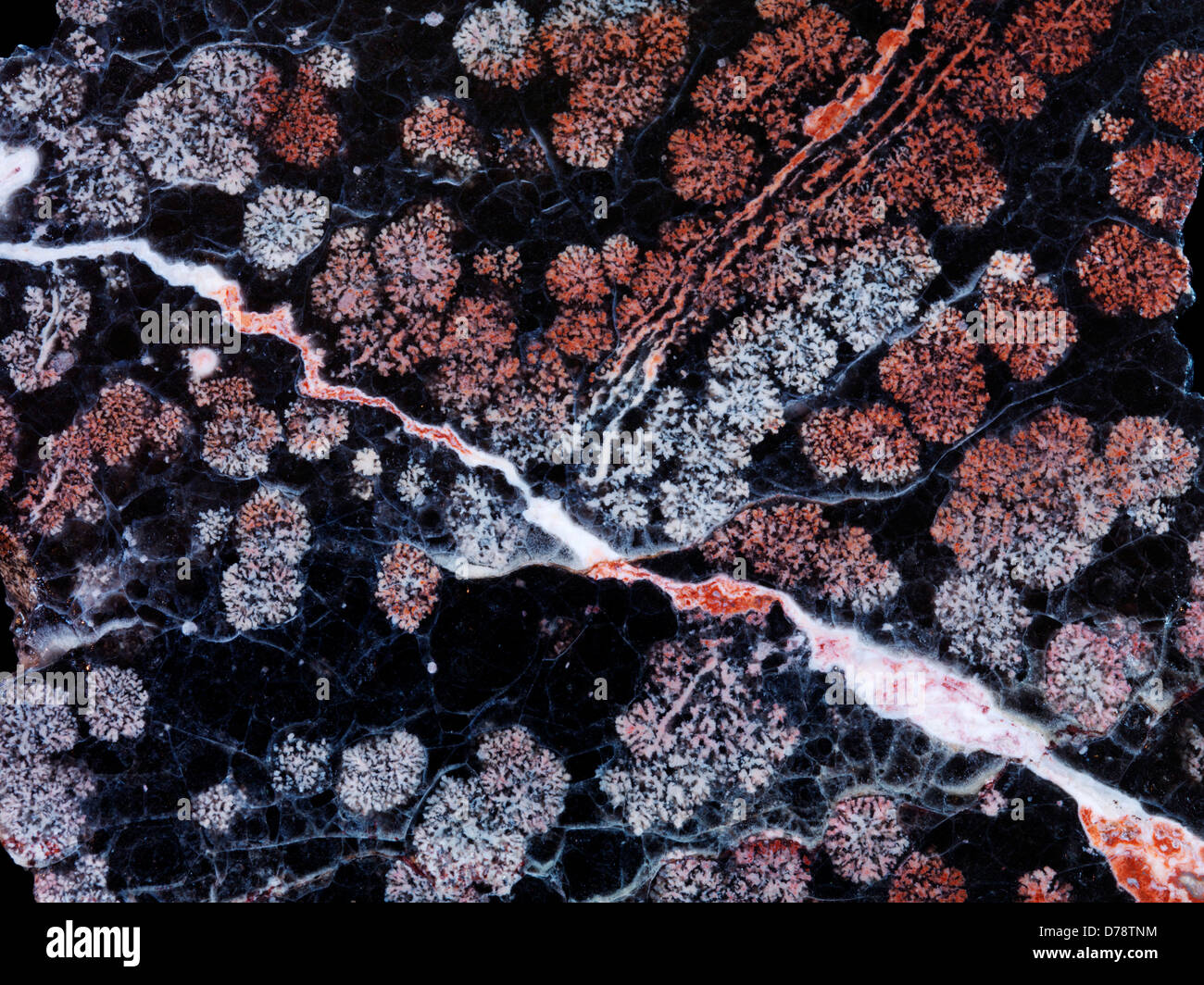 Firecracker or Fireworks Obsidian slab Mexico Stock Photo - Alamy