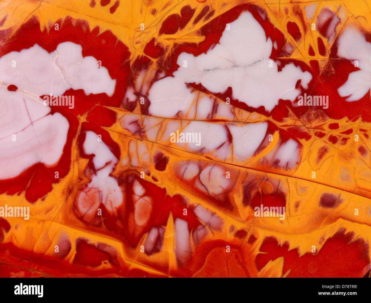 Noreena Jasper slab Pilbara Region Western Australia Stock Photo - Alamy