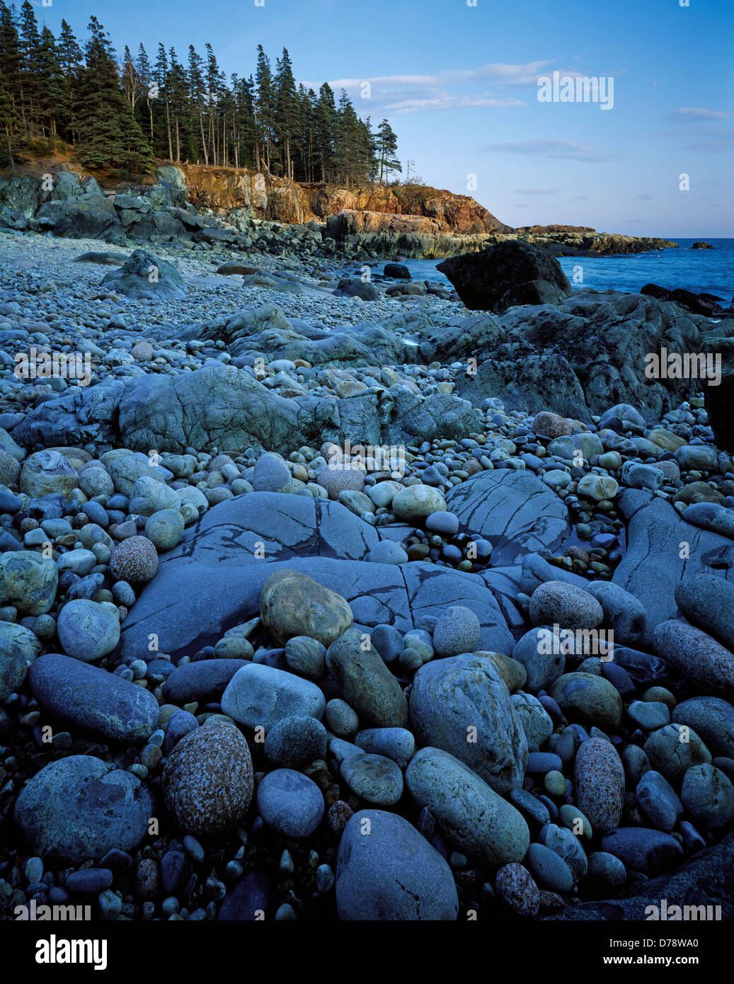 Cobbled shore Little Hunters Beach Mount Desert Island Acadia National ...