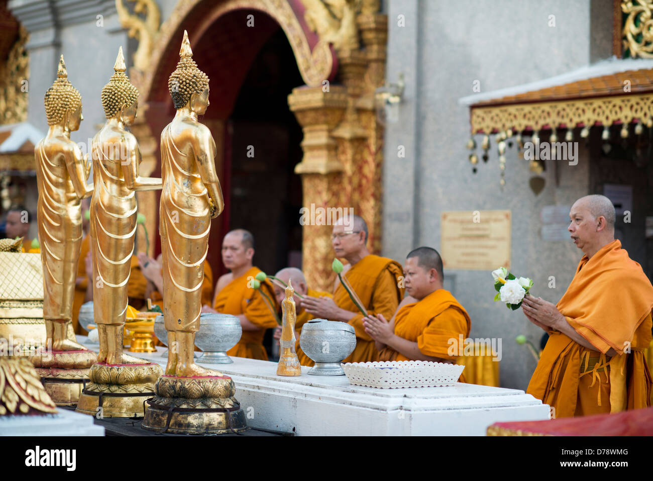 The monk holding lotus flower for prey around Chedi(Stupa) in Doi Sutep ...
