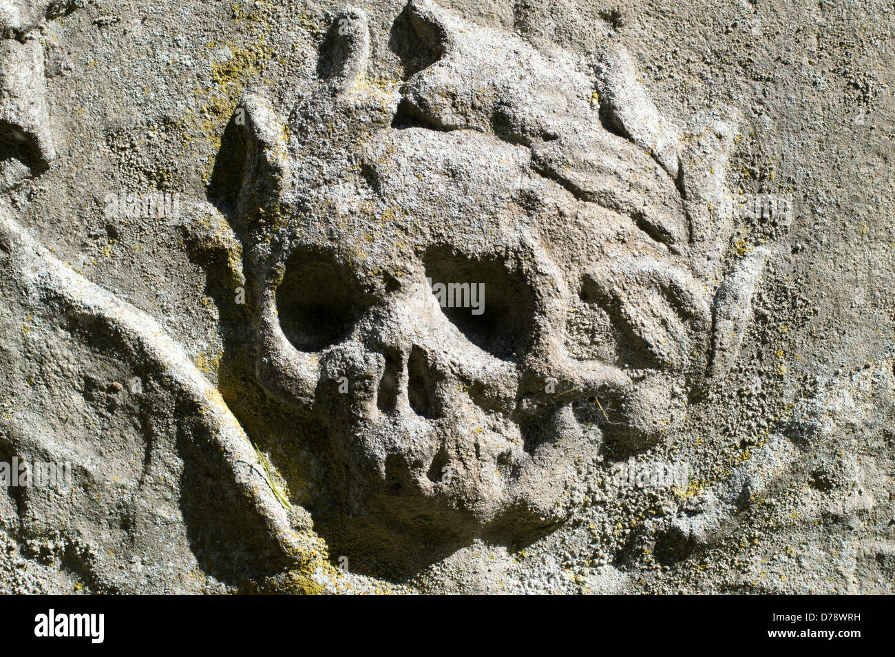 The image of a skull, carved in stonework on a grave Stock Photo - Alamy