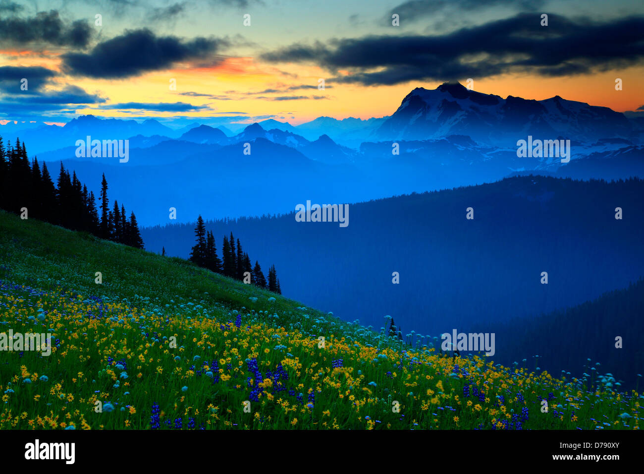 USA Washington Mount Baker Wilderness View Mount Shuksan at sunset ...