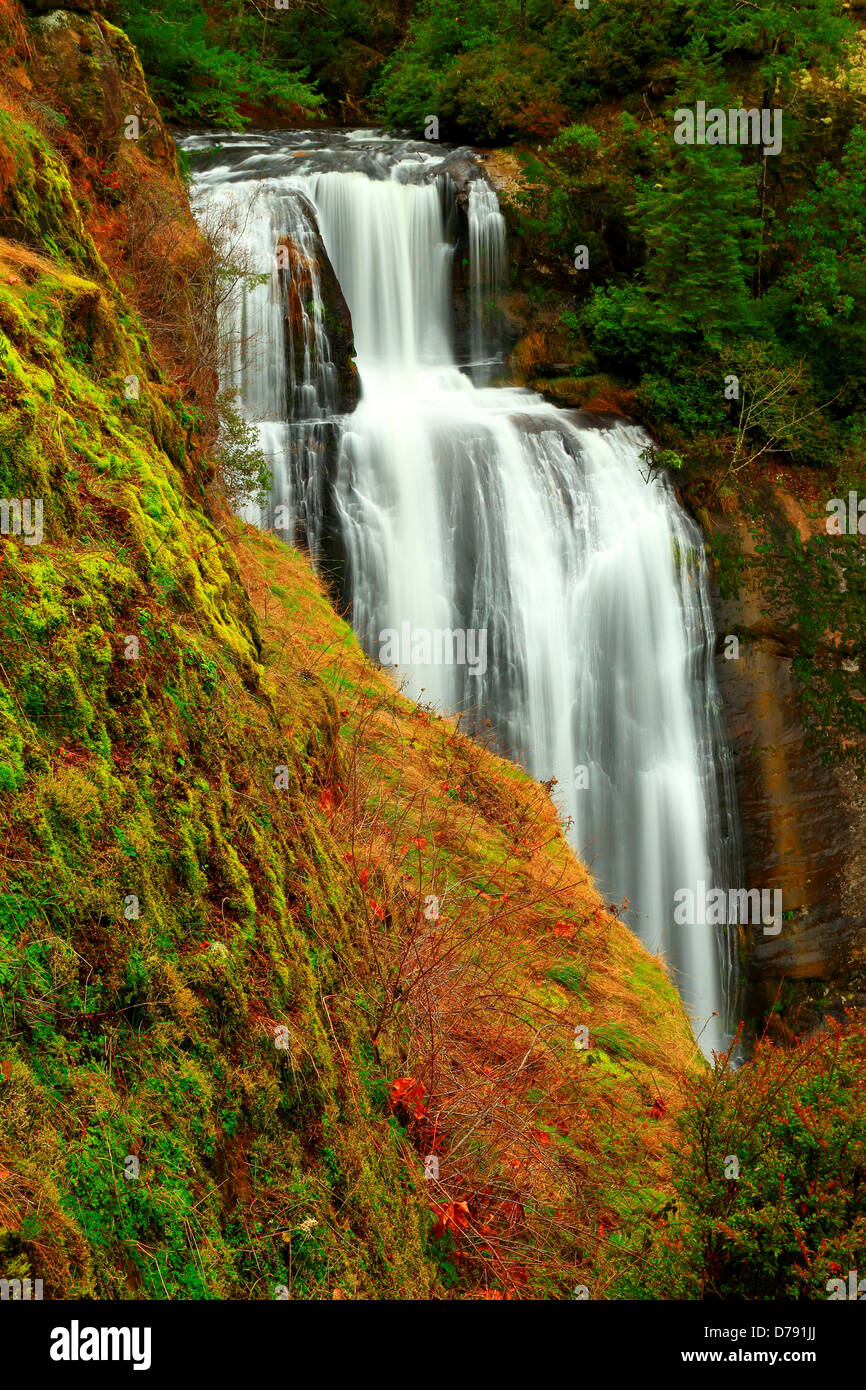 USA Oregon Golden Silver Falls State Natural Area View Silver Falls ...