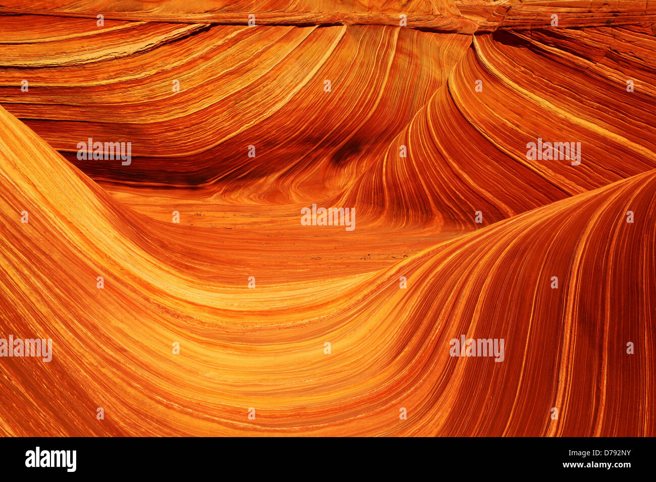 The Wave Vermillion Cliffs Arizona Stock Photo - Alamy