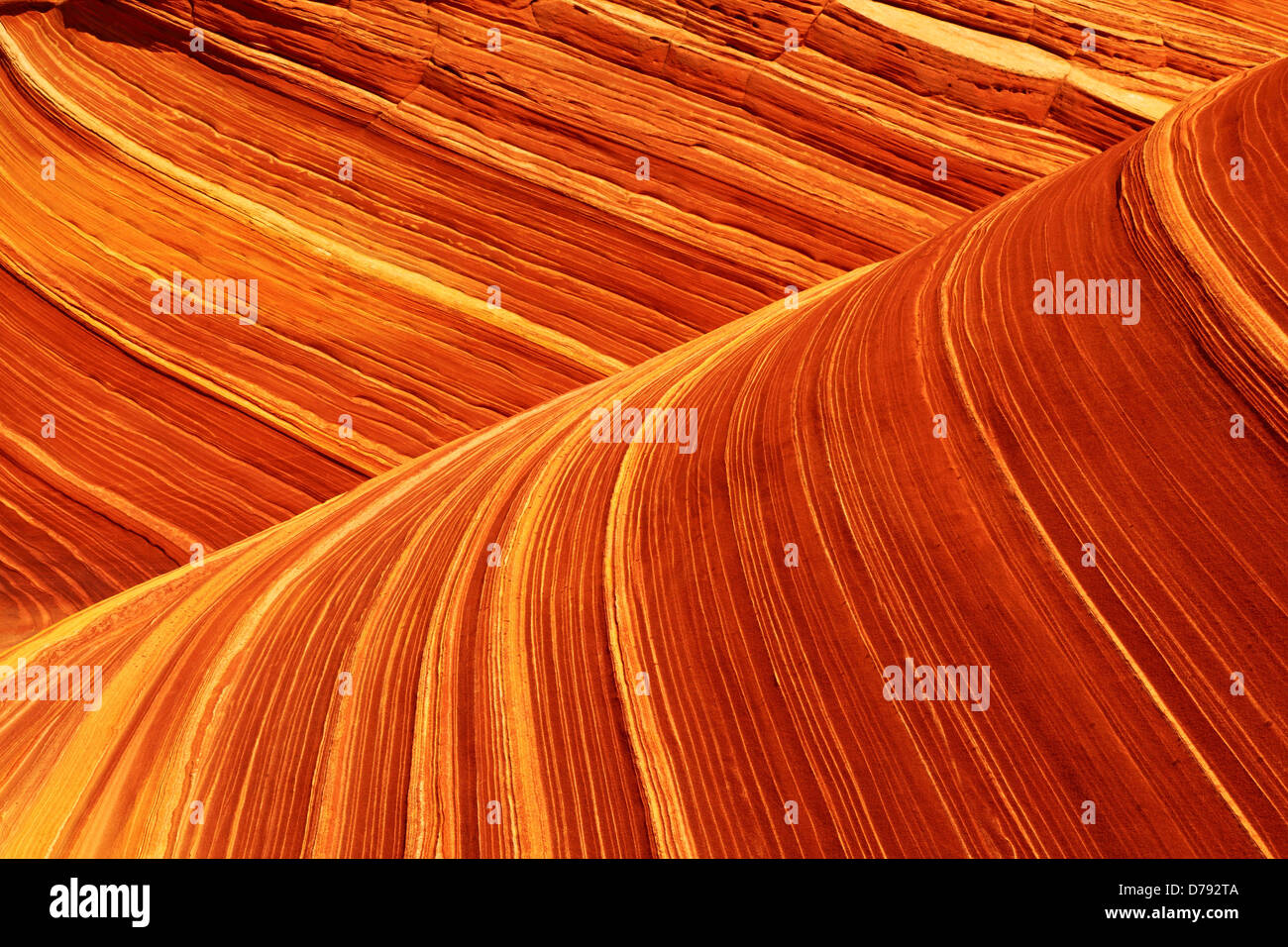 The Wave Vermillion Cliffs Arizona Stock Photo - Alamy