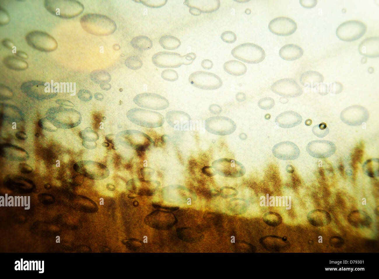 Light Graphics: Microphoto of a color slide Stock Photo - Alamy