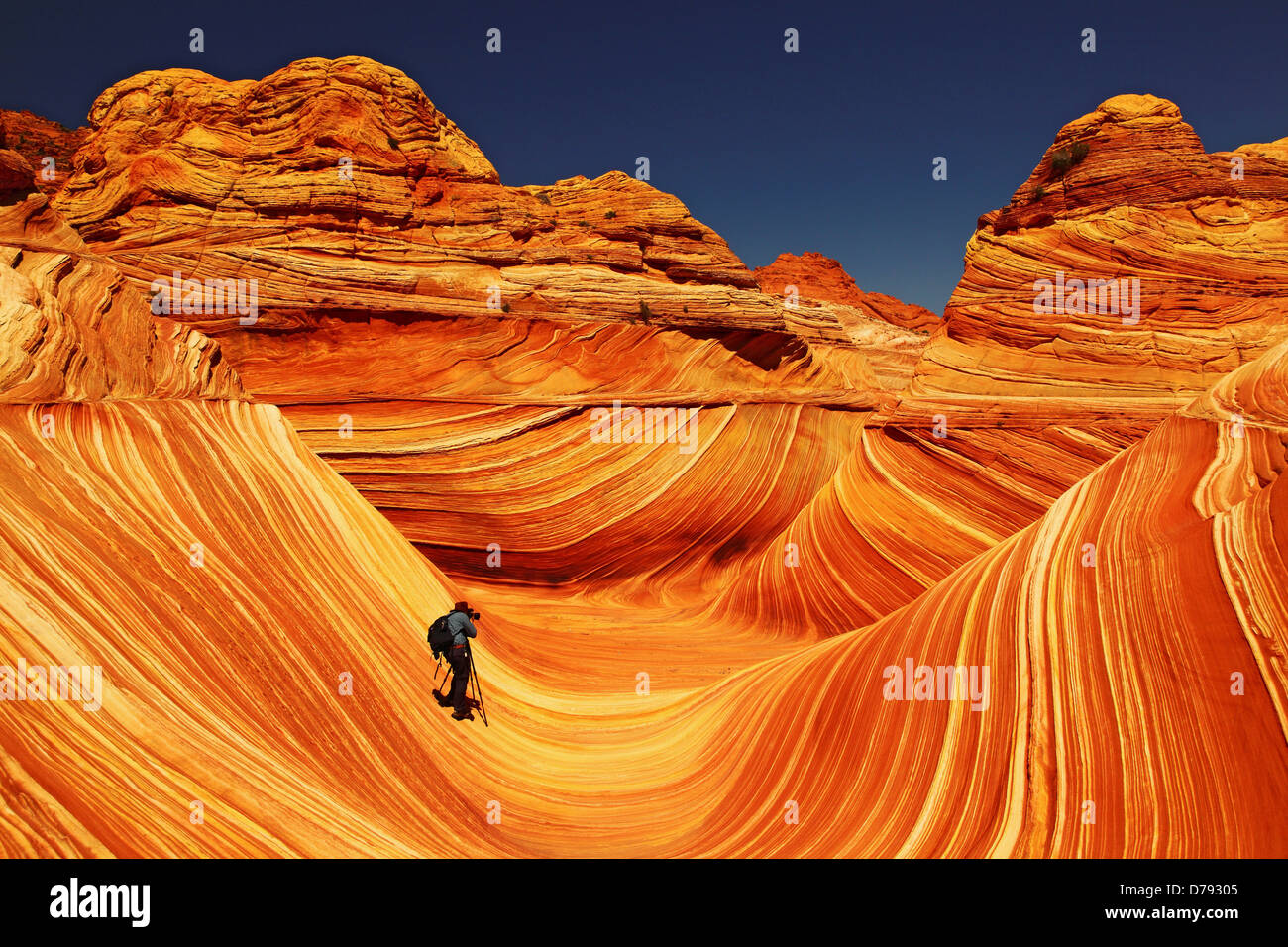 The Wave Vermillion Cliffs Arizona Stock Photo - Alamy