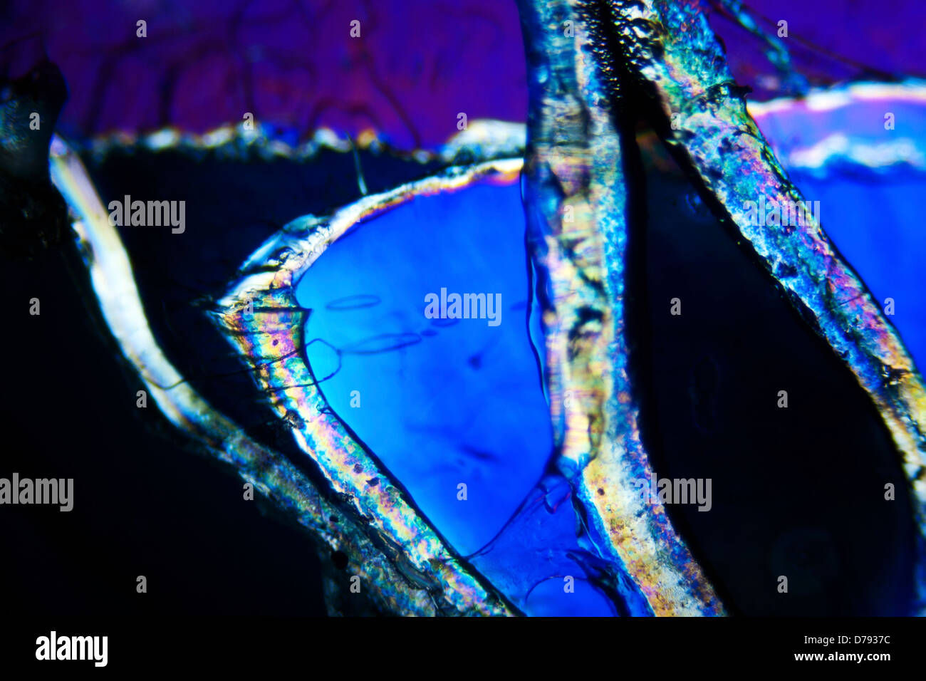 Light Graphics: Microphoto of translucent structures in polarized light ...