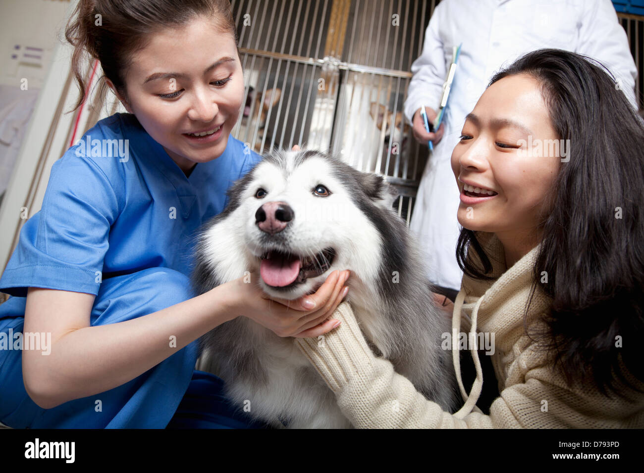 Woman with pet dog and veterinarian Stock Photo - Alamy