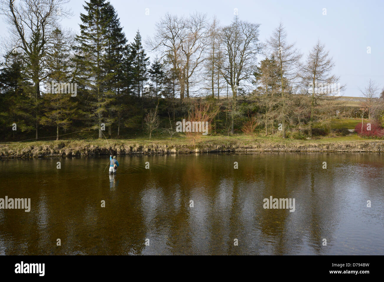 Fly fishing behind the weir on the River Wharfe near Grassington by the ...