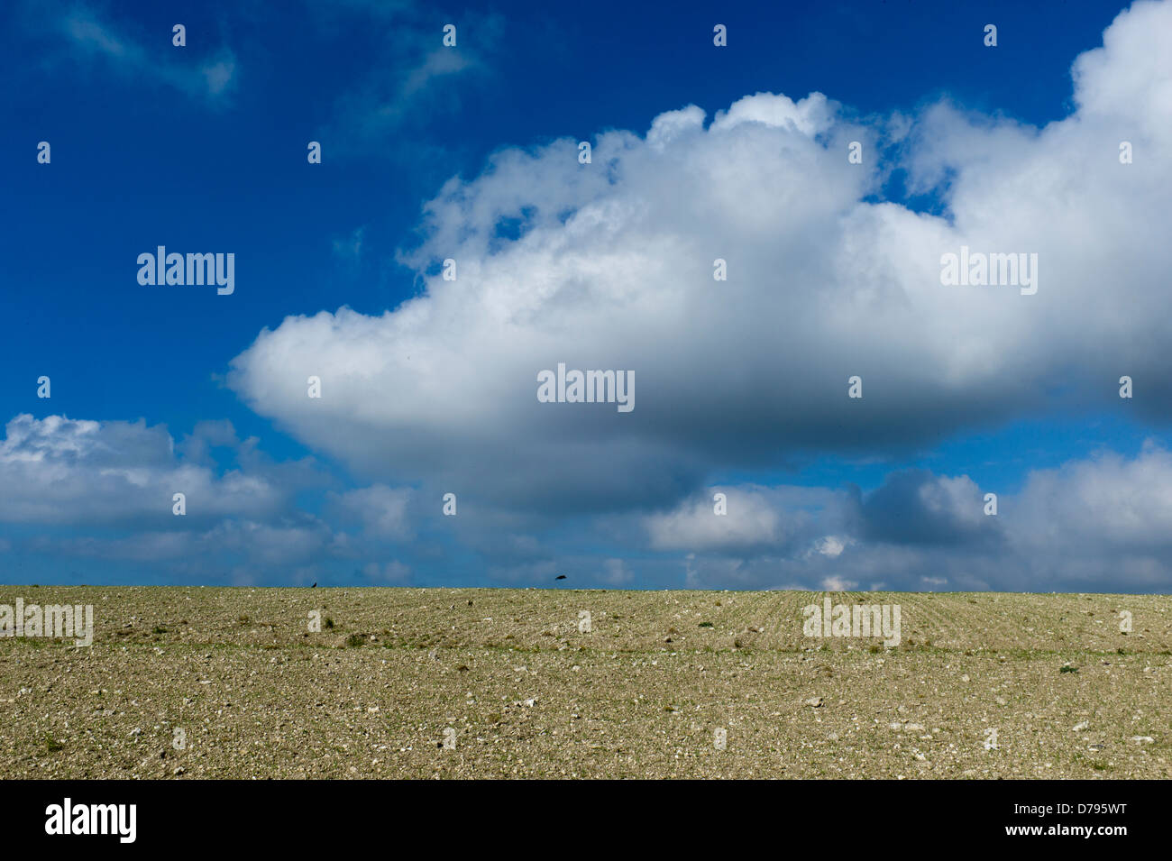 Clouds over field Stock Photo - Alamy
