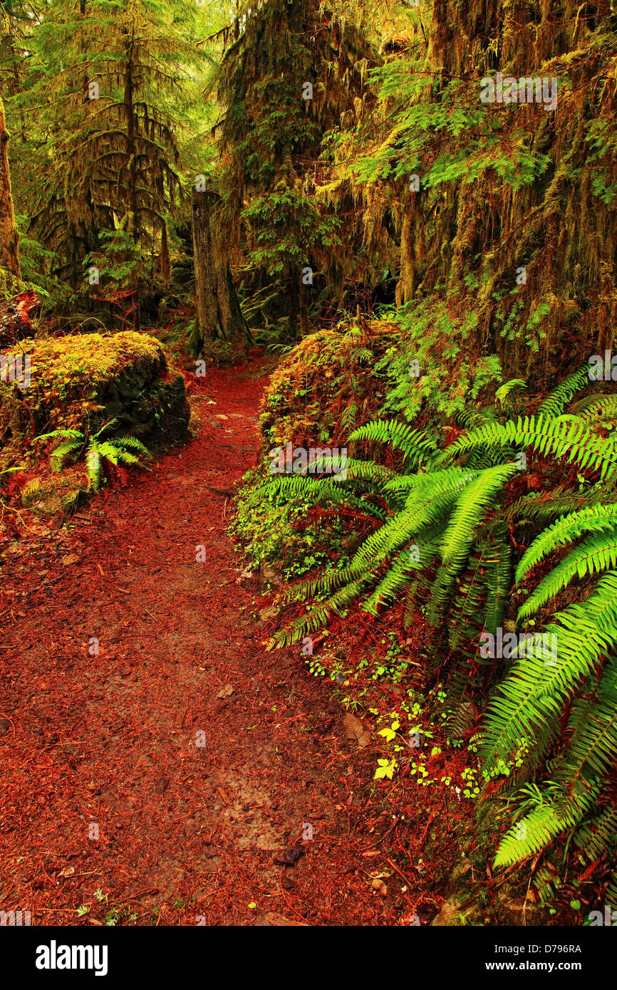 Horseshoe Trail Near Mount Baker Highway Stock Photo - Alamy