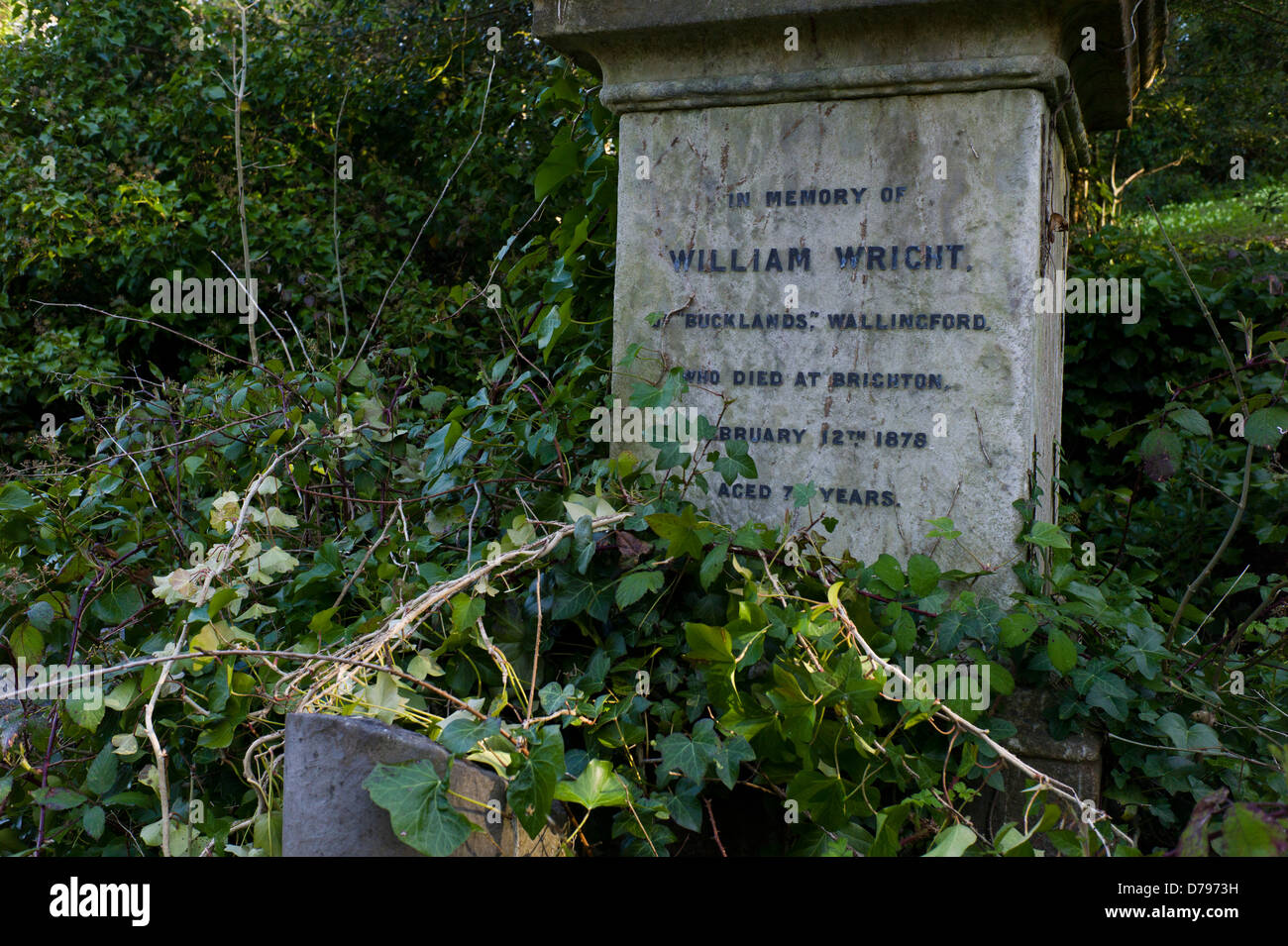 Overgrown gravestone, Brighton, UK Stock Photo - Alamy