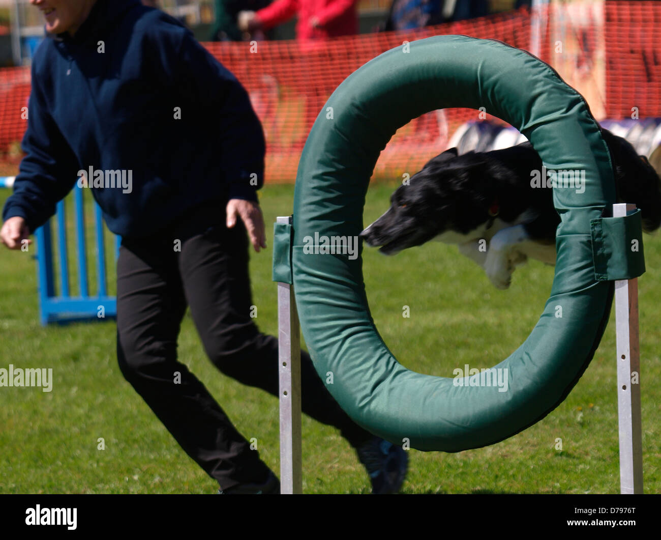 Show jumping ring hi-res stock photography and images - Alamy