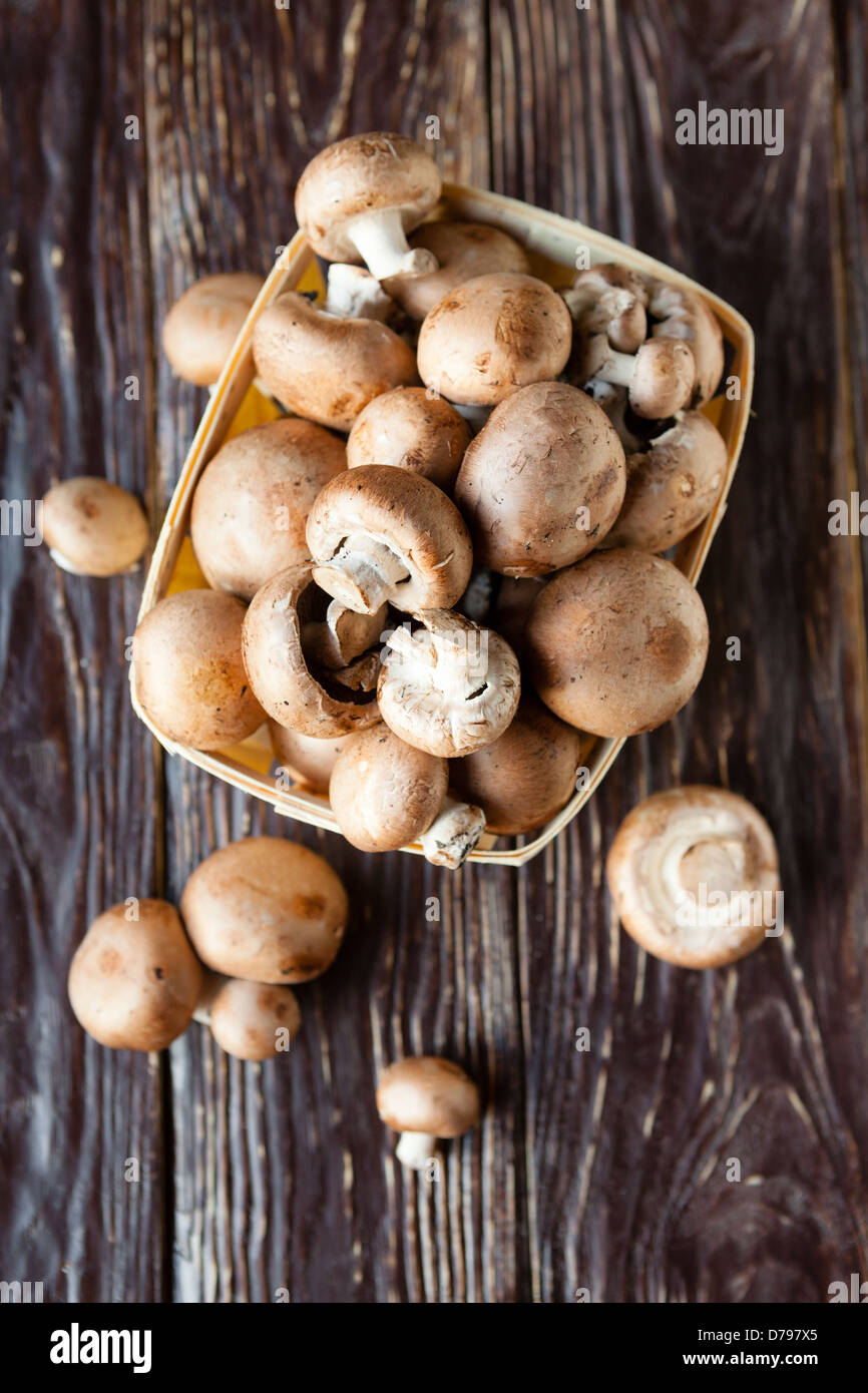 Champion mushroom hi-res stock photography and images - Alamy