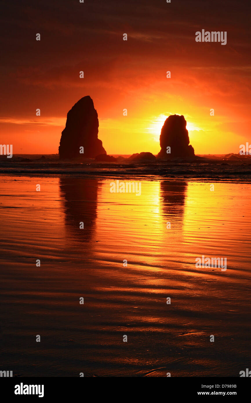 Sunset Needles on Cannon Beach Stock Photo - Alamy