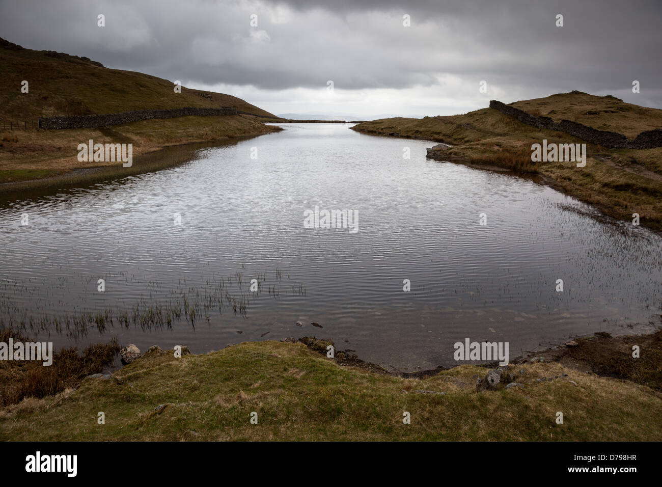 Alcock Tarn, near Grasmere, Cumbria, Lake District Stock Photo - Alamy