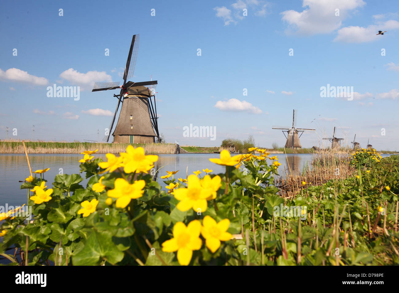 The Netherlands, South Holland, Kinderdijk, Dutch, windmills, windmill Stock Photo - Alamy