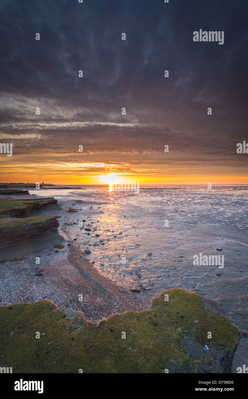 Eroded shore of the Wadden sea at low tide at dusk with clouds and ...