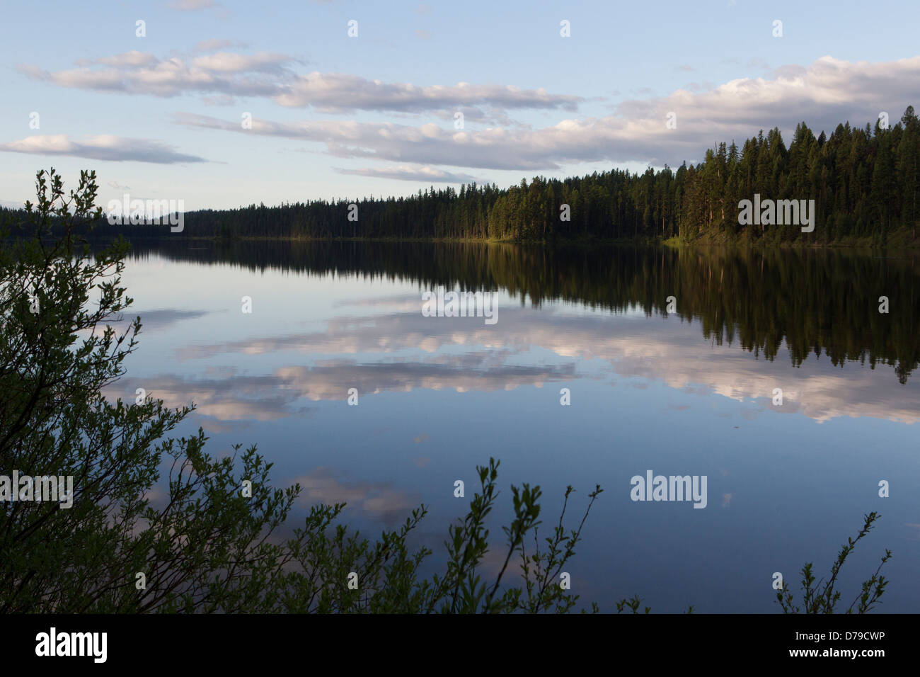 Trees and clouds reflect in Lake Alva on a calm morning, MT Stock Photo ...