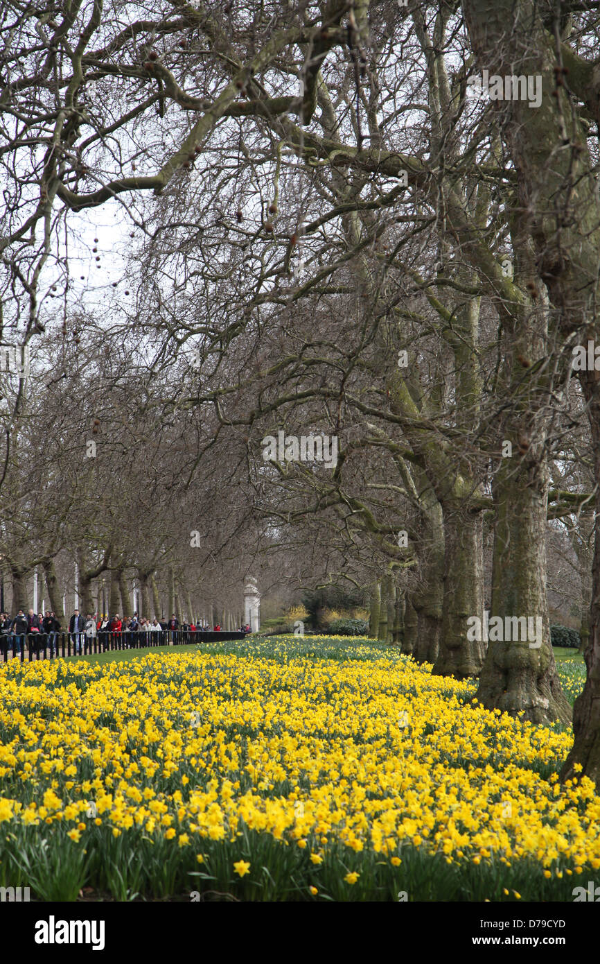 A spring scene in Regents park London Stock Photo - Alamy