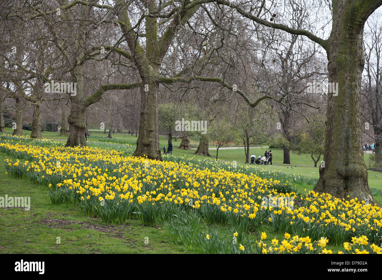 A spring scene in Regents park London Stock Photo - Alamy