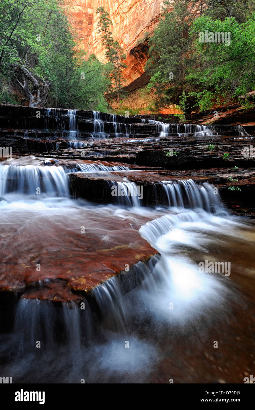 Archangel falls waterfall river Left Fork of North Creek Zion National ...