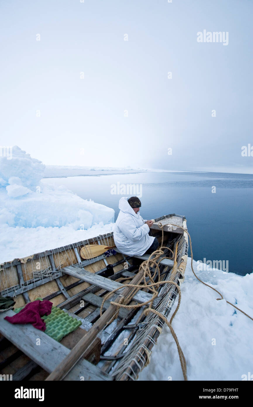 Bearded seal hunting hi-res stock photography and images - Alamy